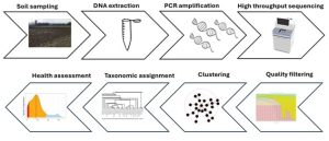 How eDNA reveals hidden life in soil - AI4SoilHealth